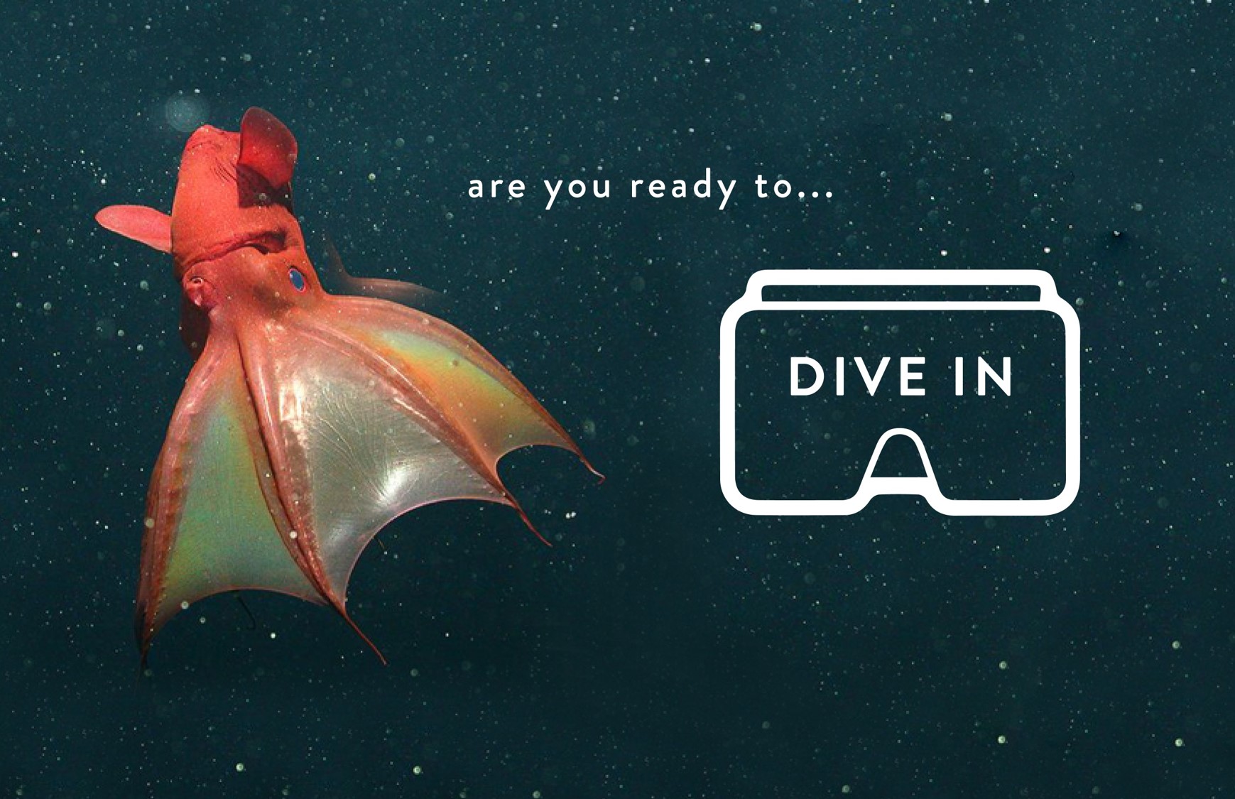 DIVE IN – Hayes Lab for Marine Geochemistry